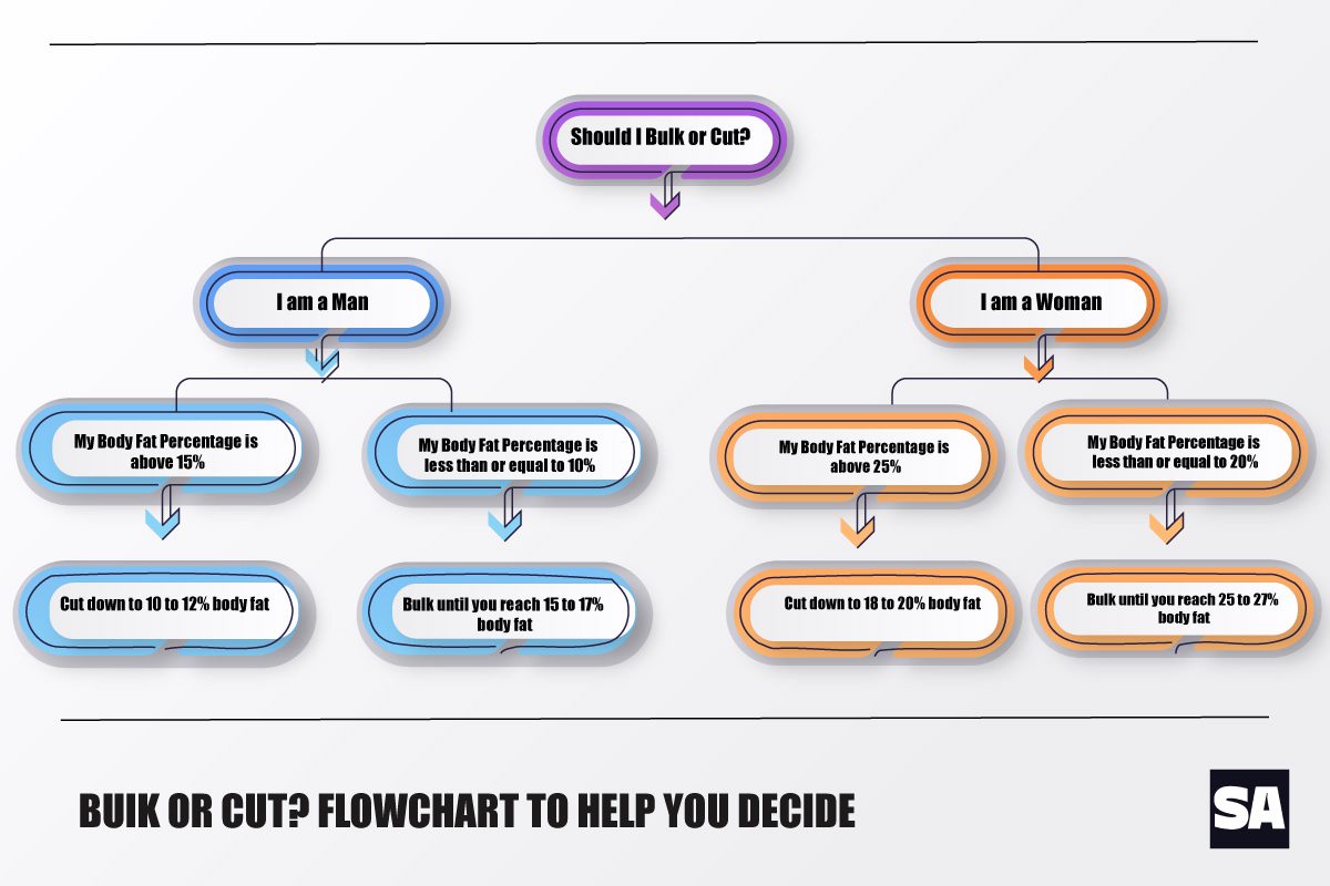 How to Bulk or Cut: The Pros and Cons of Both Methods